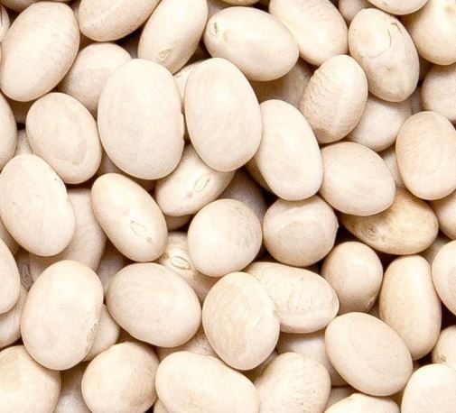 Navy Bean - Gaia Organics