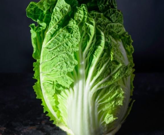 Wong Bok Chinese Cabbage - Gaia Organics