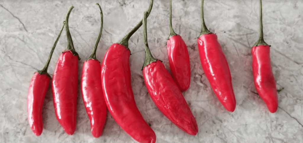 Korean Kimchi Hot Pepper - Gaia Organics