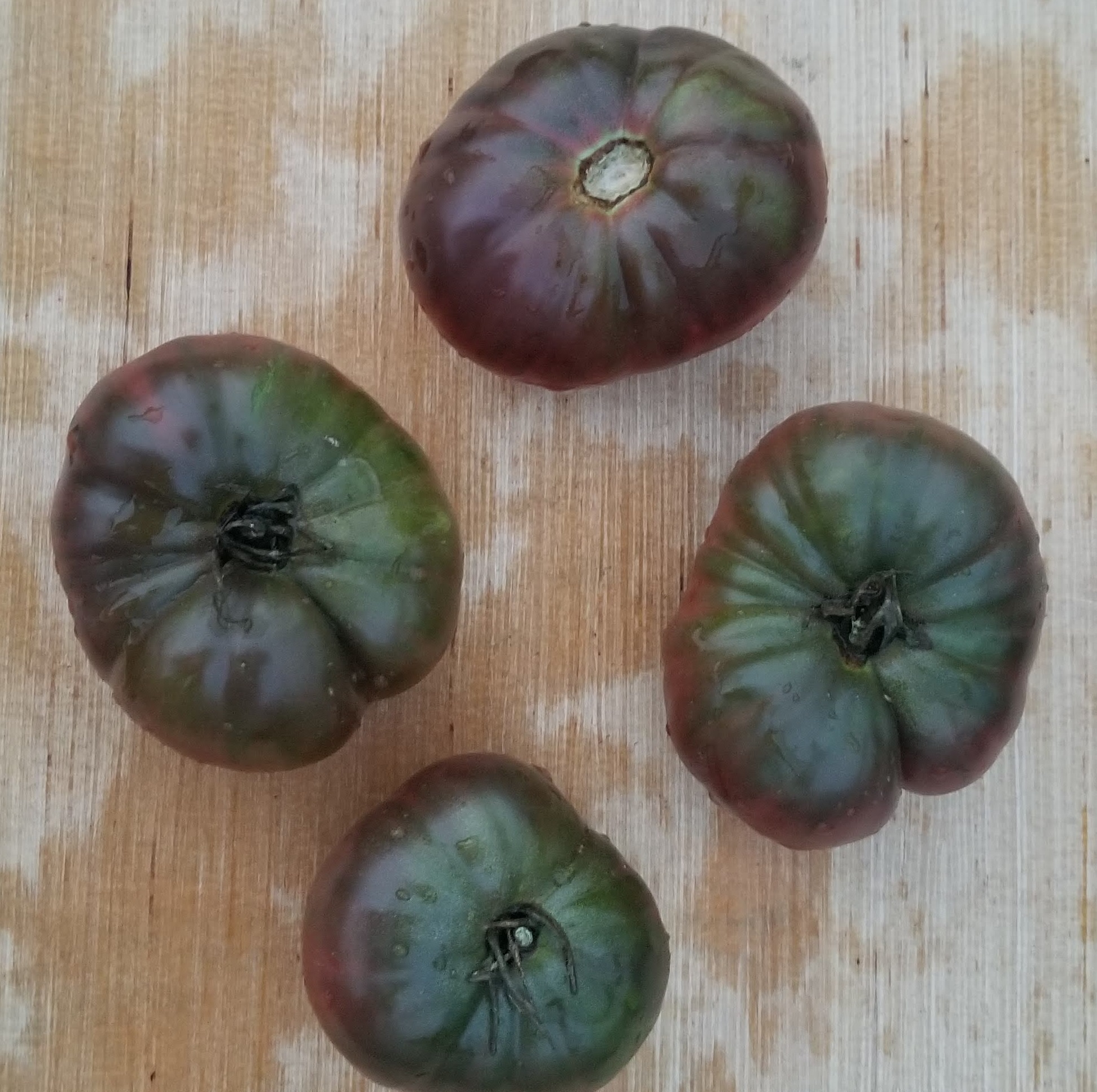Black Seaman Tomato - Gaia Organics