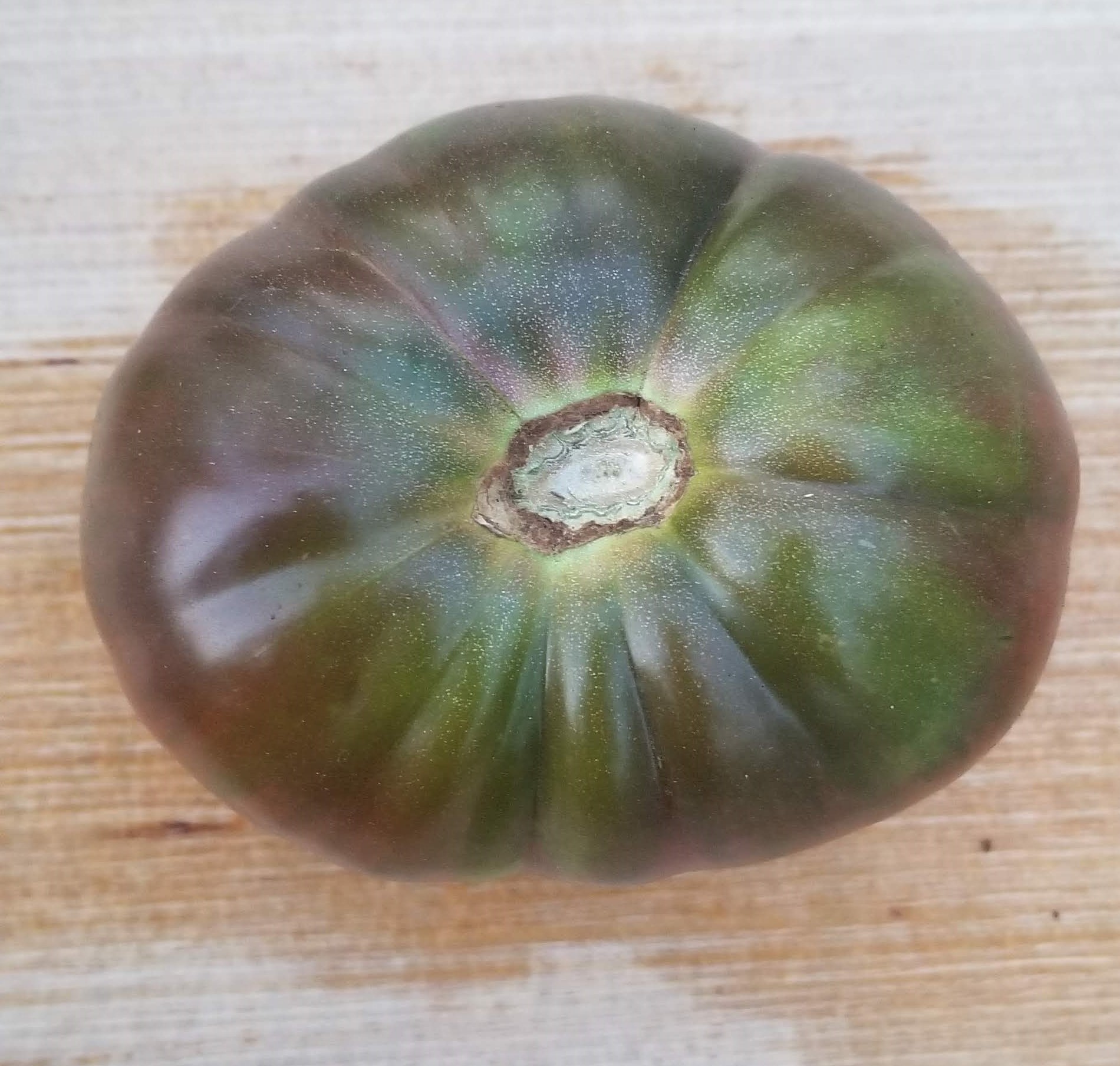 Black Seaman Tomato - Gaia Organics