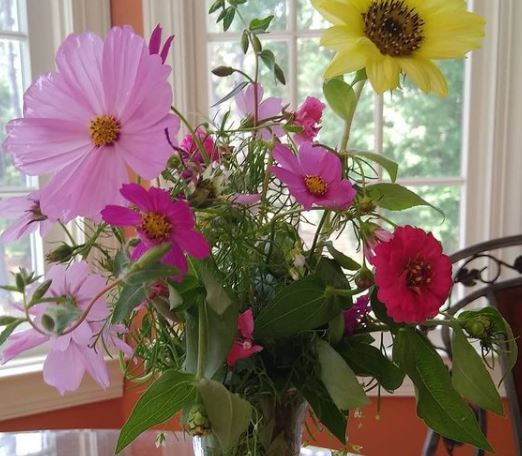 Cutflower Mix - Gaia Organics