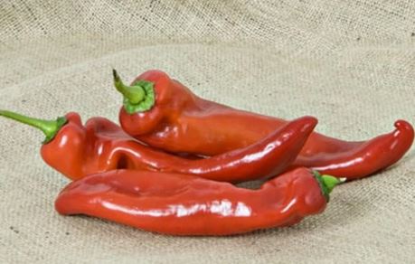 Hungarian Paprika Hot Pepper - Gaia Organics