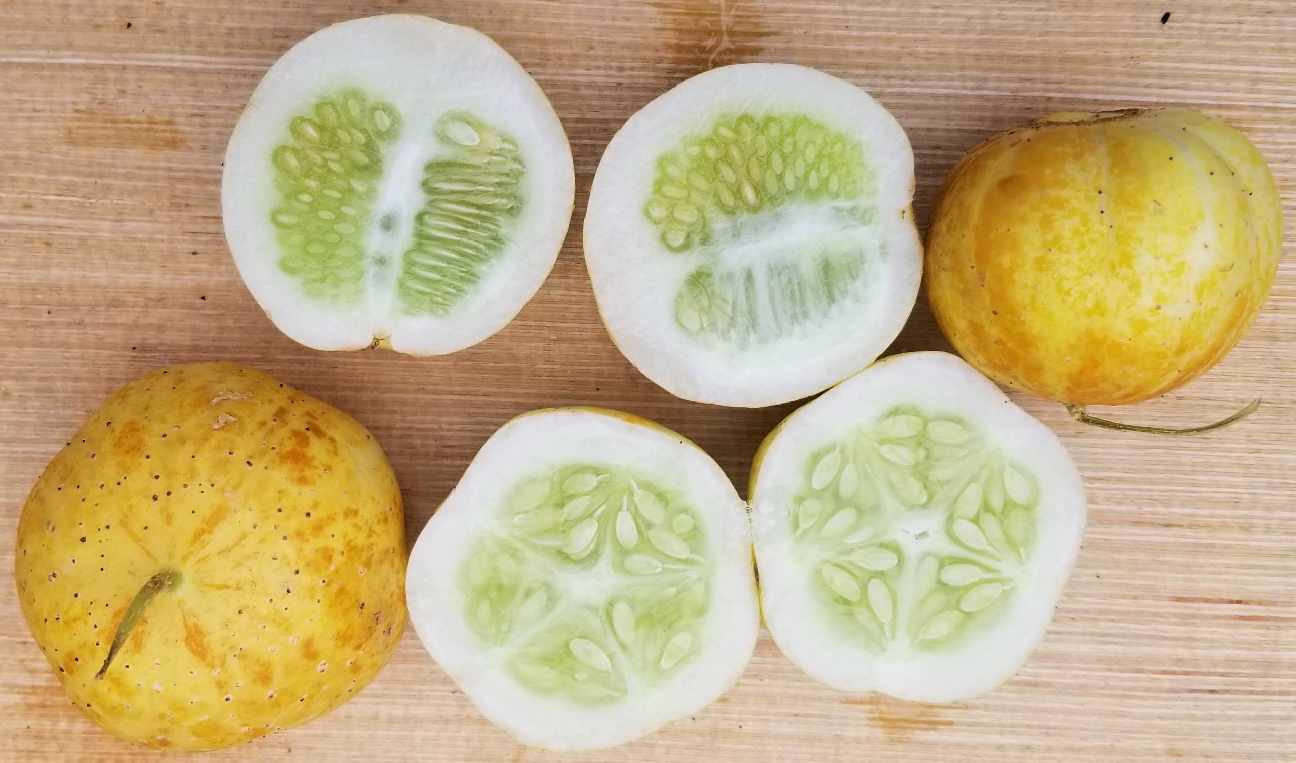 Lemon Cucumber - Gaia Organics