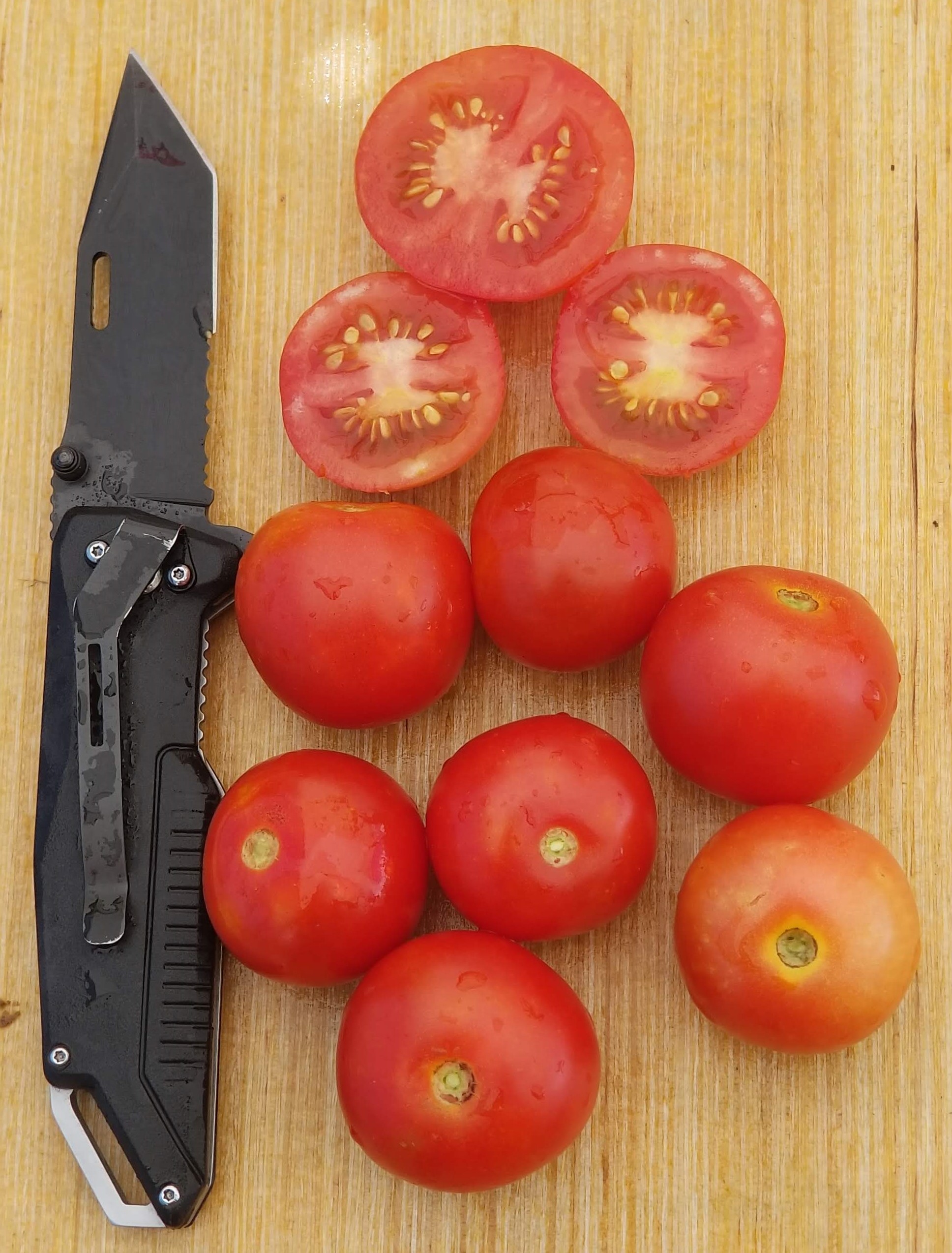 Tumbling Tom Red Tomato - Gaia Organics