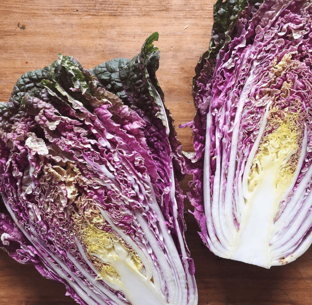 Red Dragon Chinese Cabbage - Gaia Organics