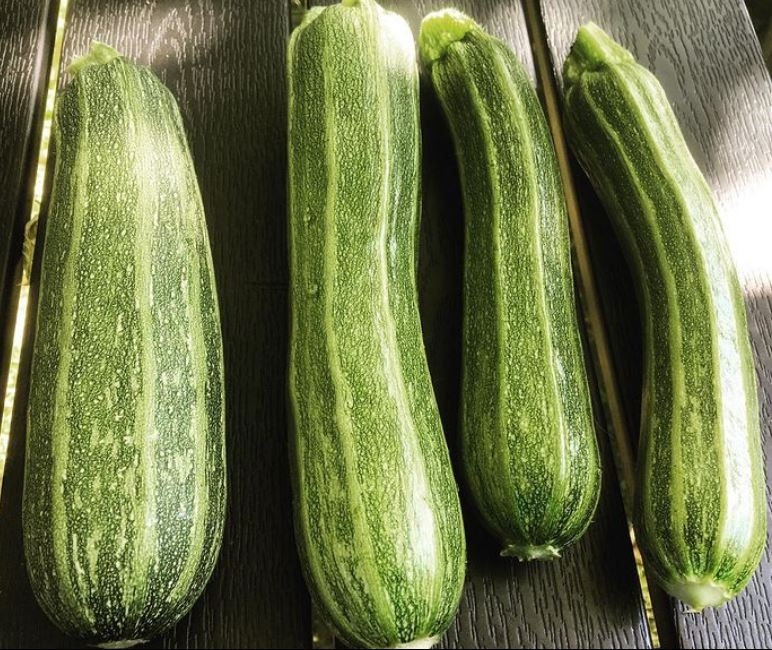Cocozelle Zucchini - Gaia Organics