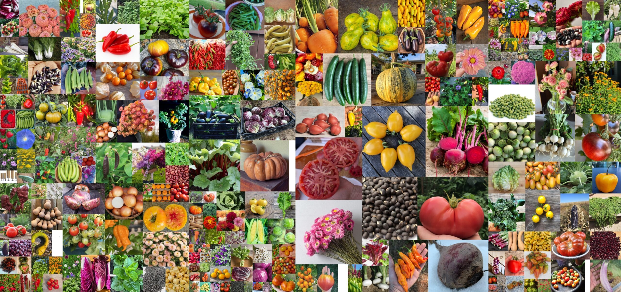 New Varieties This Year List - Gaia Organics