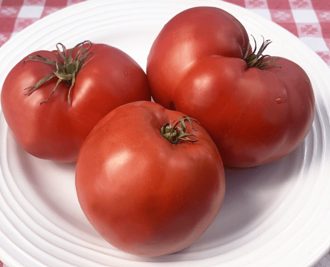 German Red Tomato - Gaia Organics