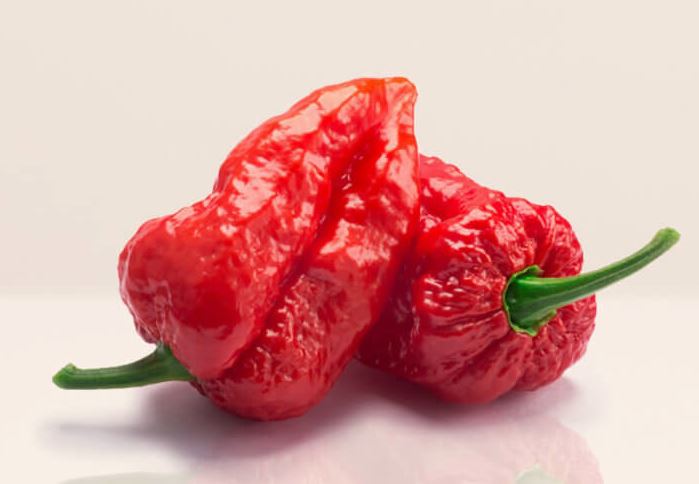 Bhut Jolokia Red Ghost Hot Pepper - Gaia Organics