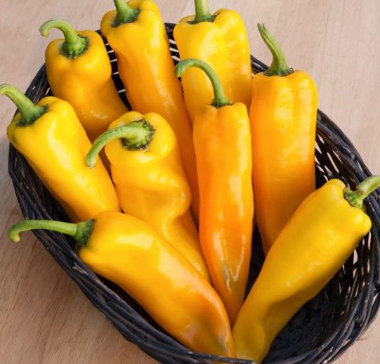 Lively Italian Sweet Pepper - Gaia Organics