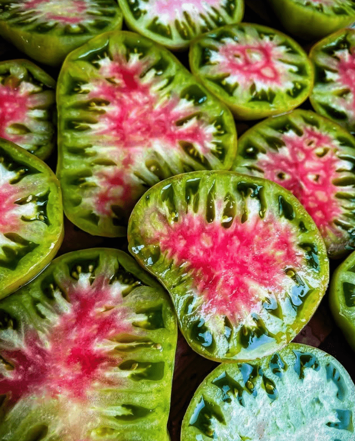 Copper River Tomato - Gaia Organics