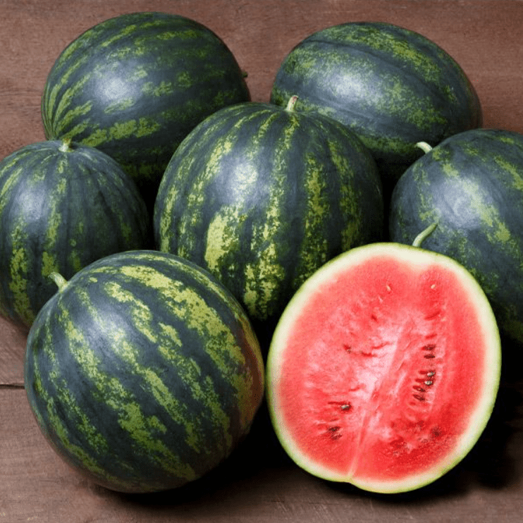 Juice Box F1 Watermelon - Gaia Organics