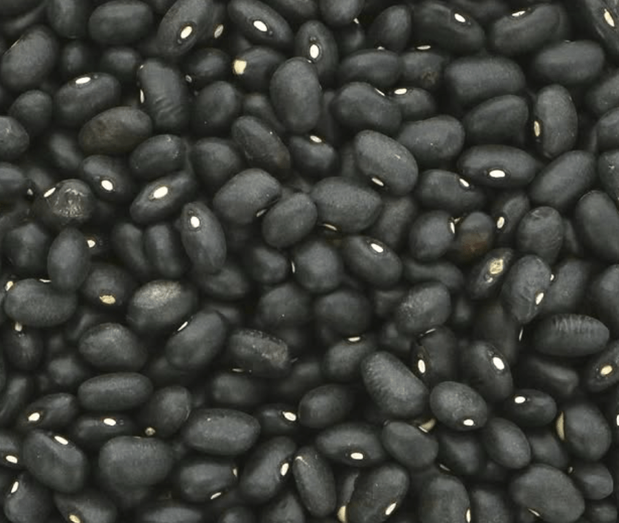 Nicaraguan Black Turtle Bean - Gaia Organics