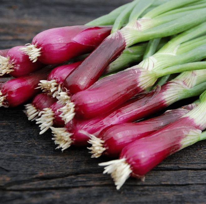 Red Baron Onion - Gaia Organics