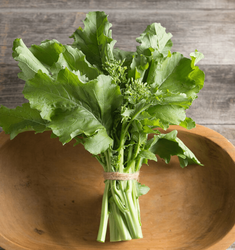 Spring Raab Broccoli - Gaia Organics