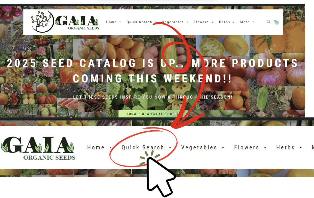 "Quick Search" Feature Update- Nouvelle fonctionnalité ~Recherche ...