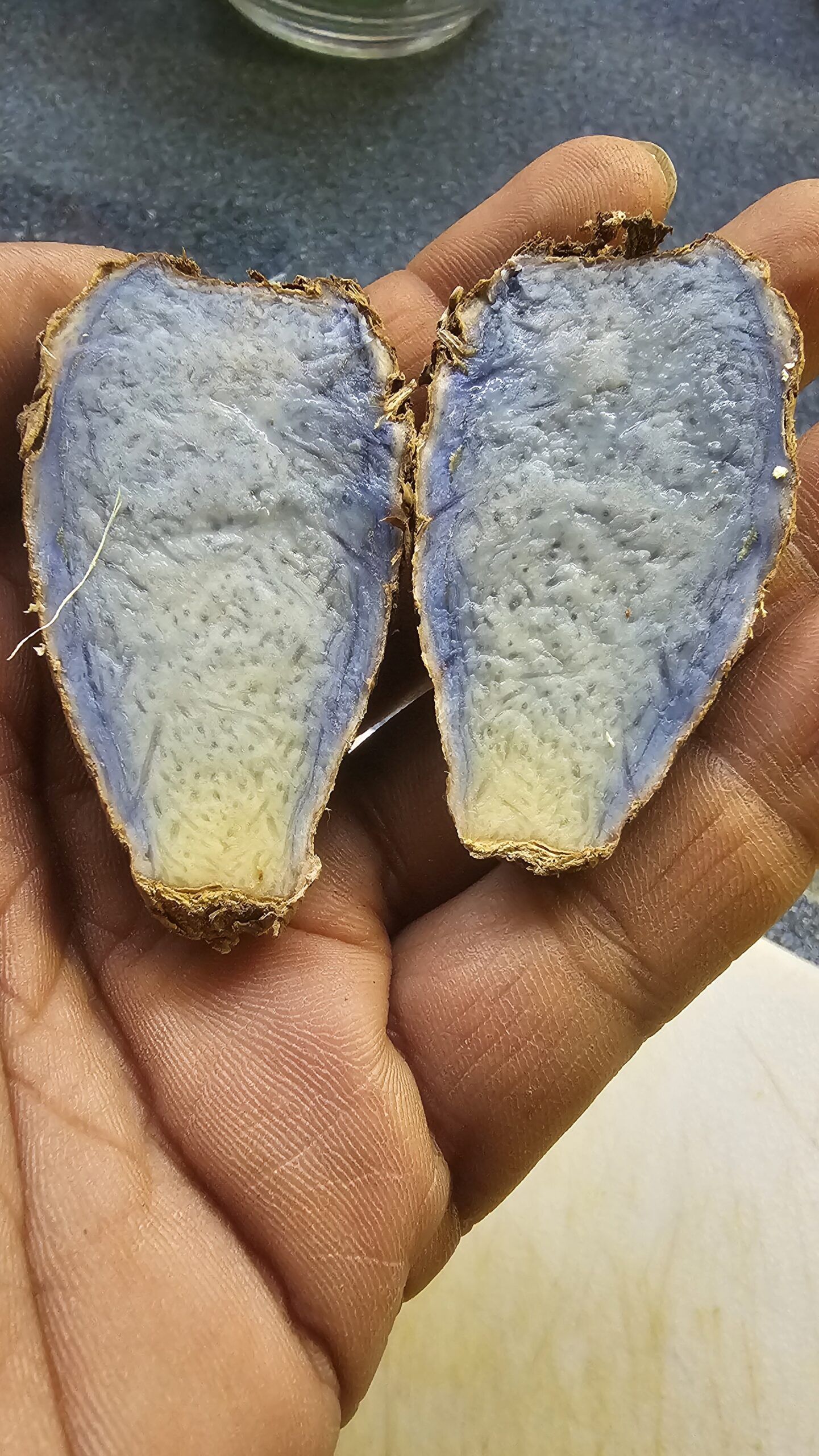 Black Turmeric - Gaia Organics