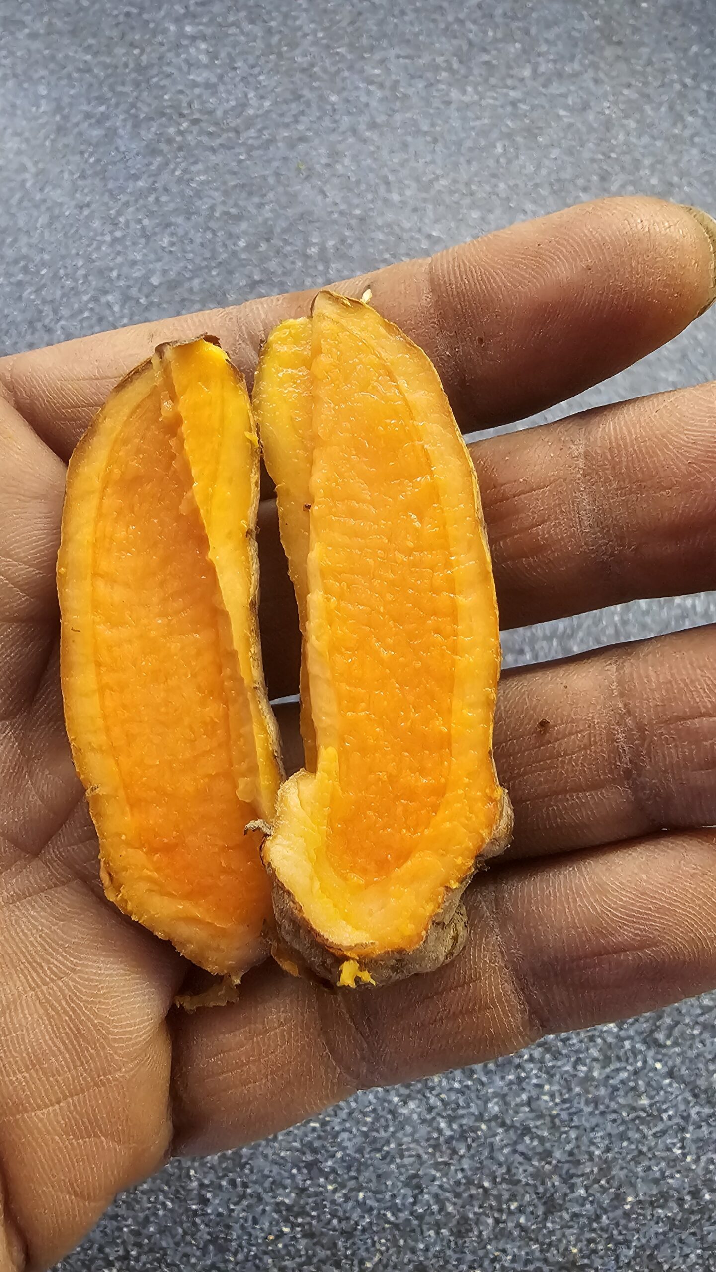 Native Sambha Turmeric - Gaia Organics