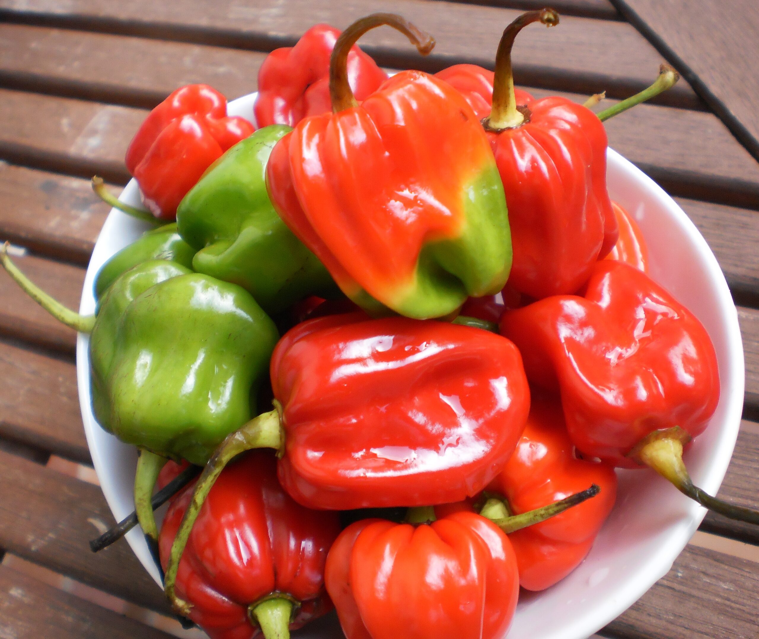 Aji Chombo Hot Pepper - Gaia Organics