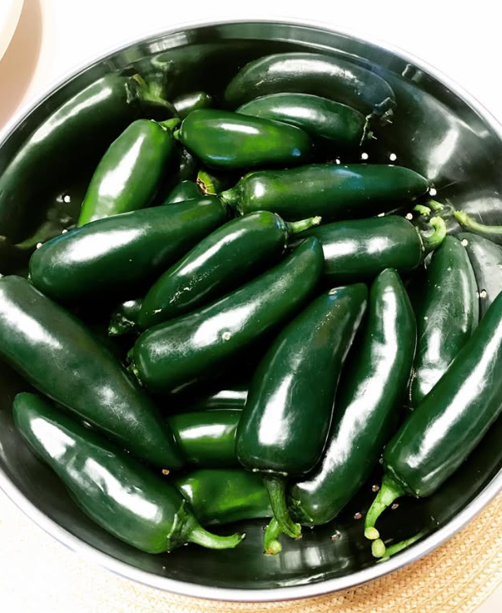 Jalapẽno - Mucho Nacho Hot Pepper - Gaia Organics