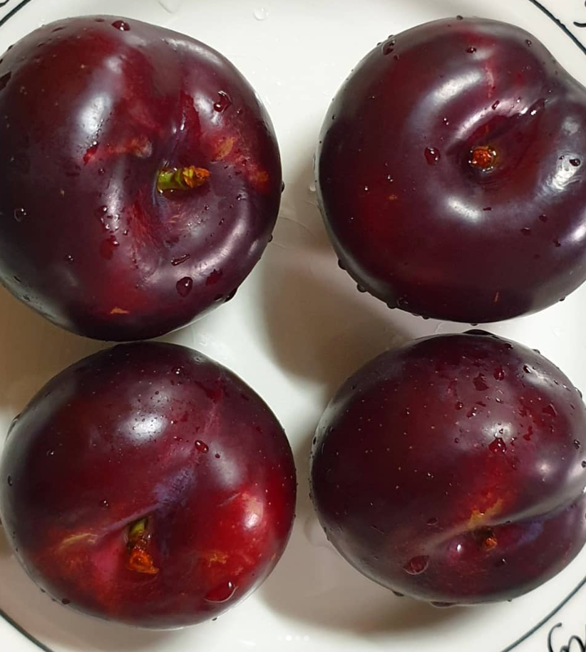 Nadia Cherry-Plum - Gaia Organics
